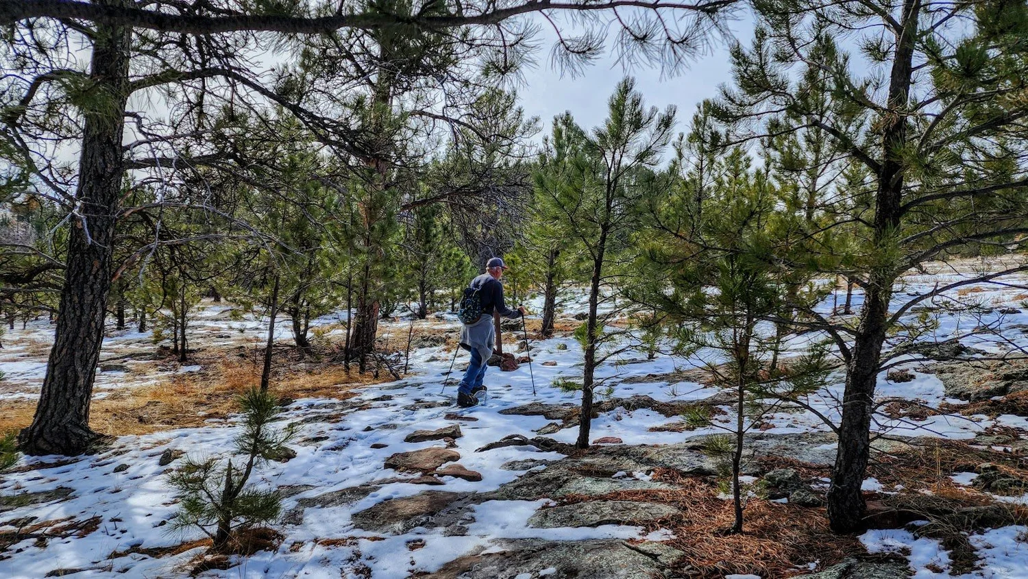 Prairie Trail — Black Hills Hiking, Biking, and More
