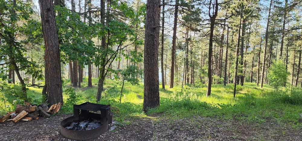 Cook Lake Campground — Black Hills Hiking, Biking, and More