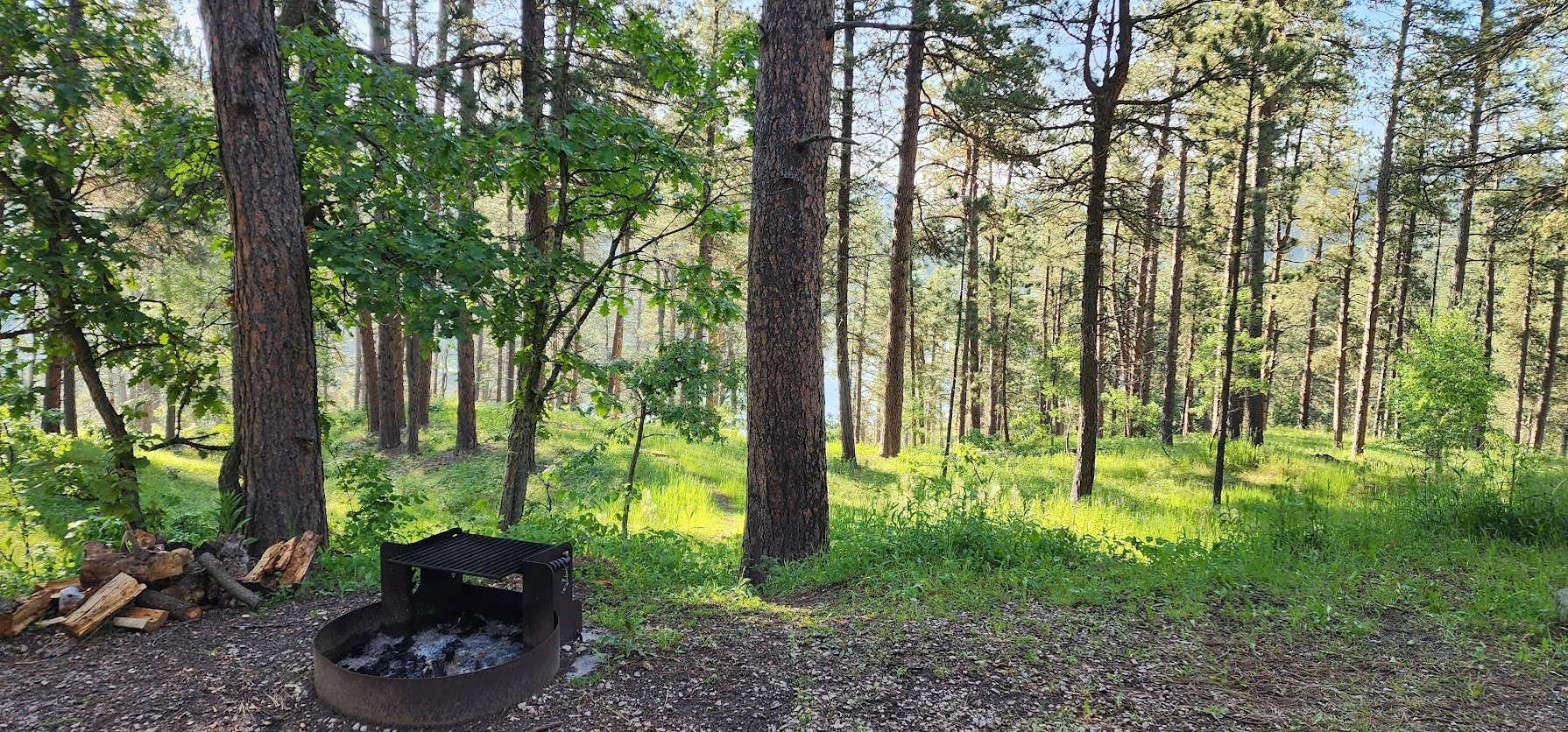 Cook Lake Campground — Black Hills Hiking, Biking, and More