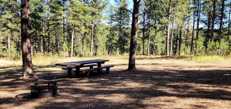 Roubaix Lake Campground — Black Hills Hiking, Biking, and More