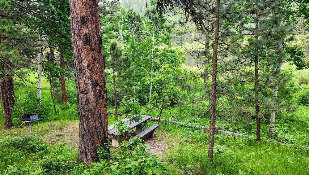 Cook Lake — Black Hills Hiking, Biking, and More