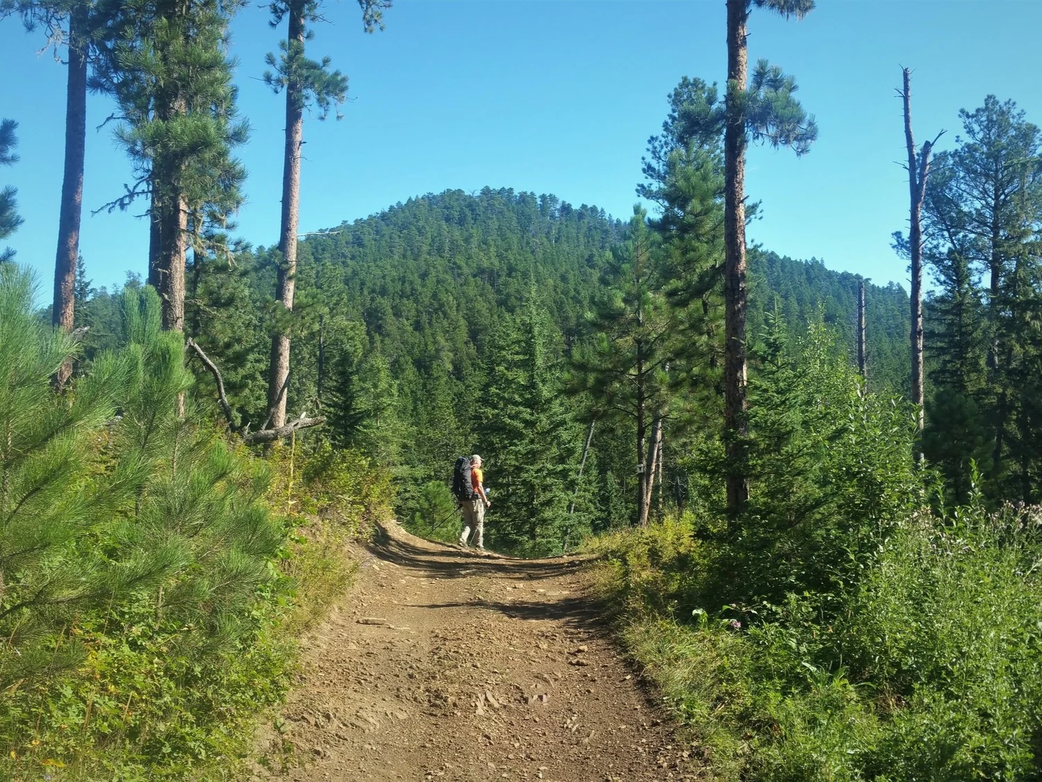 Centennial Trail — Black Hills Hiking, Biking, and More