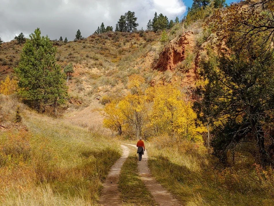 Wind Cave National Park — Black Hills Hiking, Biking, and More