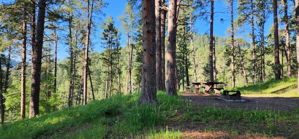 Cook Lake Campground — Black Hills Hiking, Biking, and More