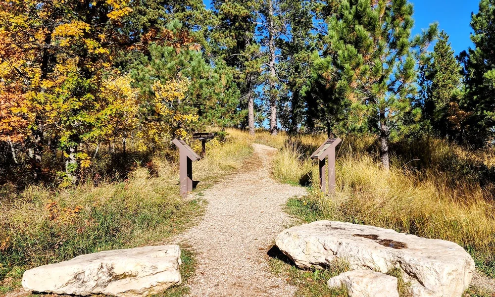 Mount Roosevelt Trail — Black Hills Hiking, Biking, and More