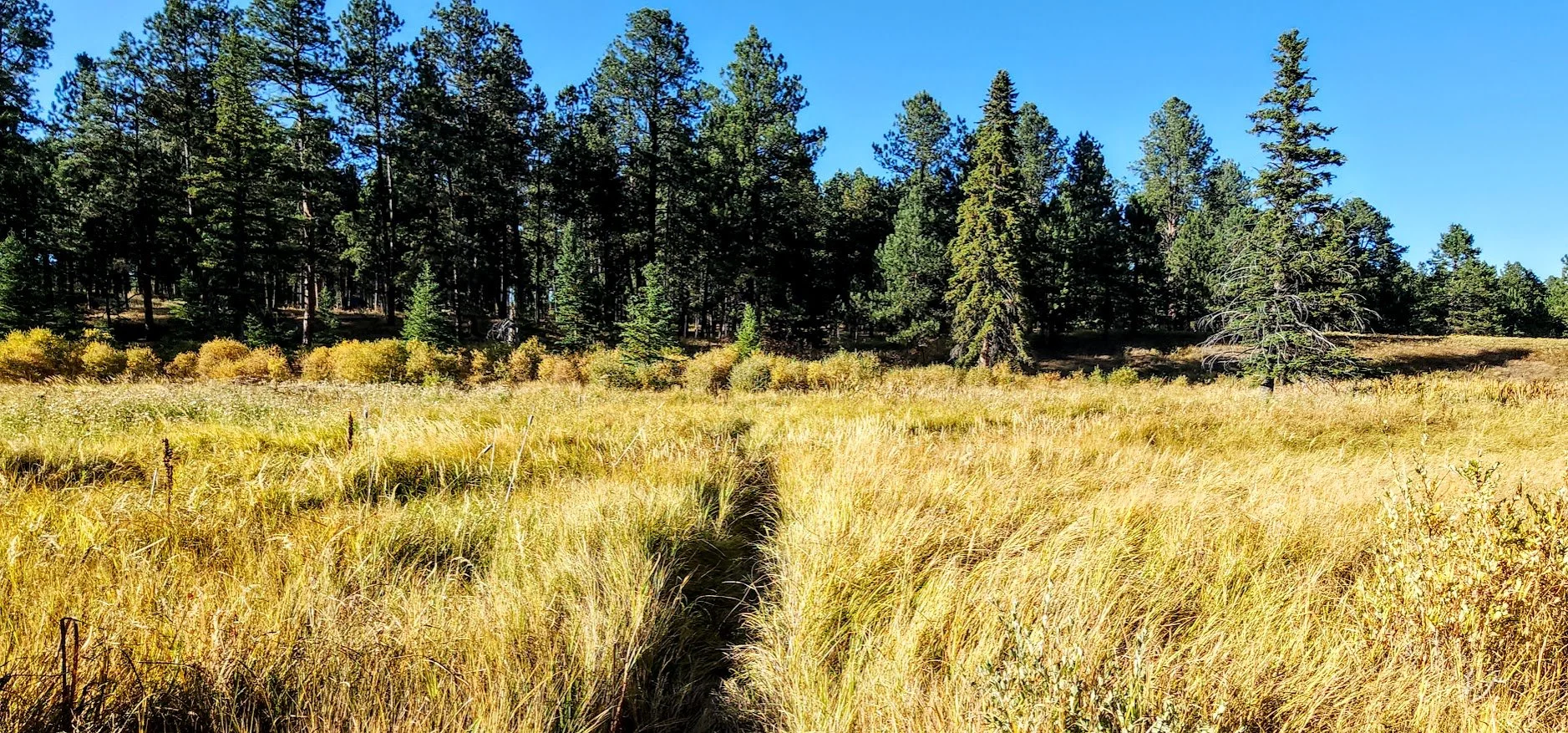 Roubaix Lake — Black Hills Hiking, Biking, and More