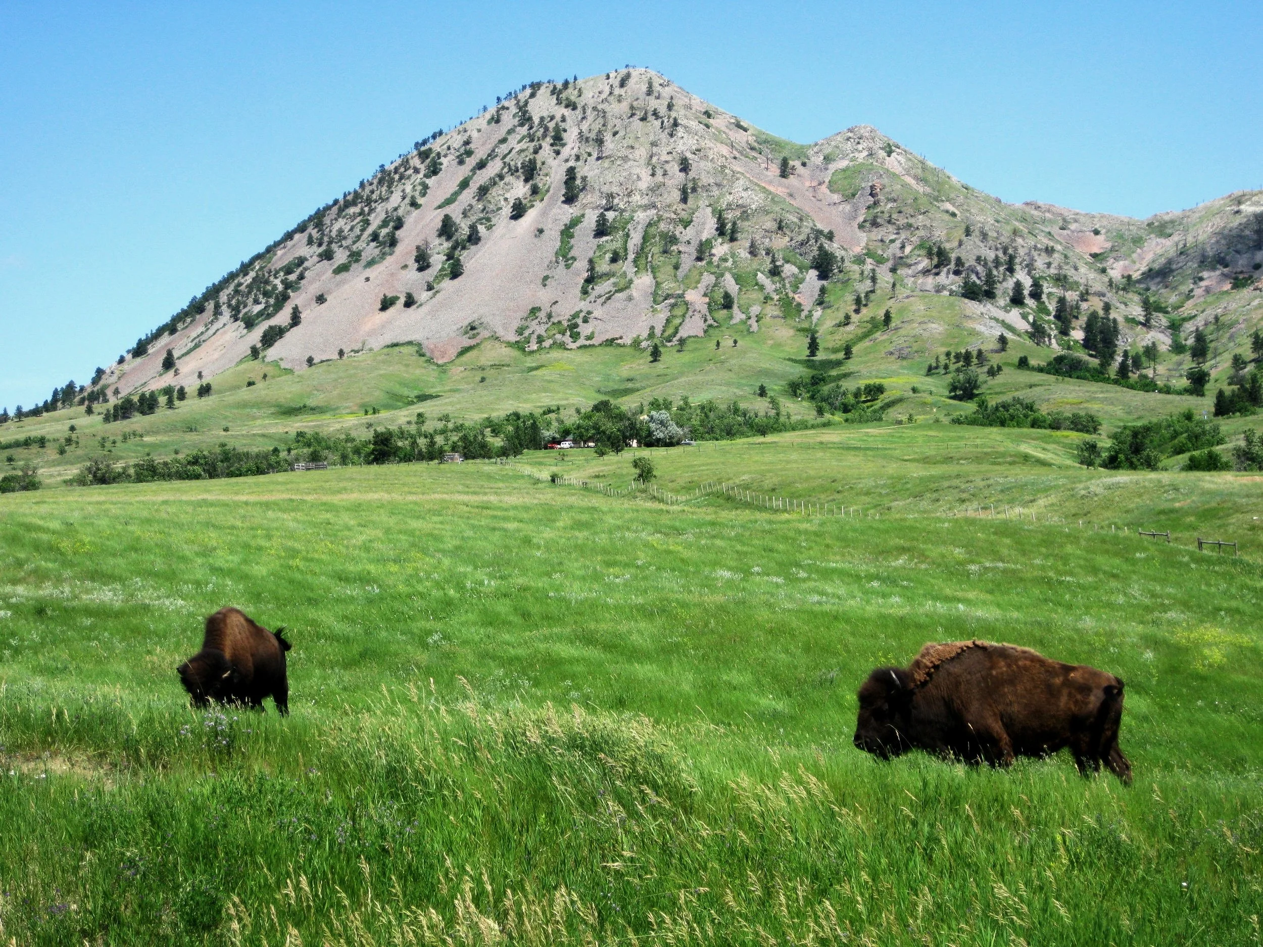 Bear Butte — Black Hills Hiking, Biking, and More