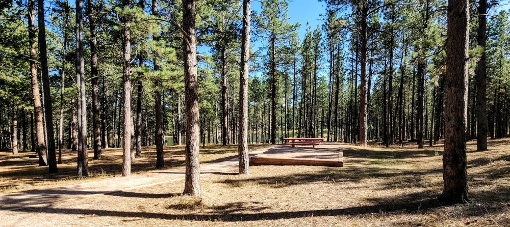 Roubaix Lake Campground — Black Hills Hiking, Biking, and More