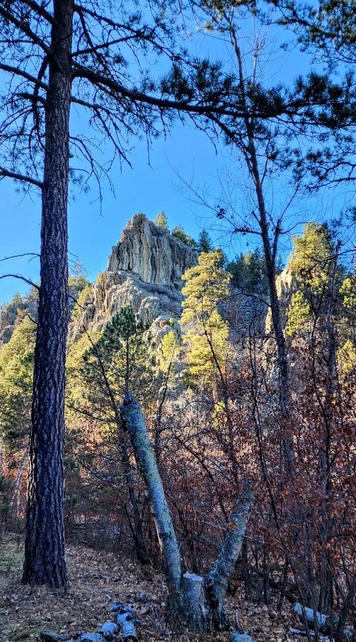 Victoria Lake Trail — Black Hills Hiking, Biking, and More