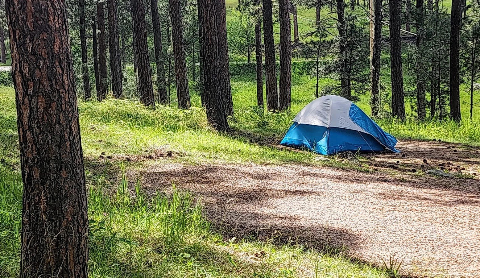 Sheridan Lake Campground — Black Hills Hiking, Biking, and More