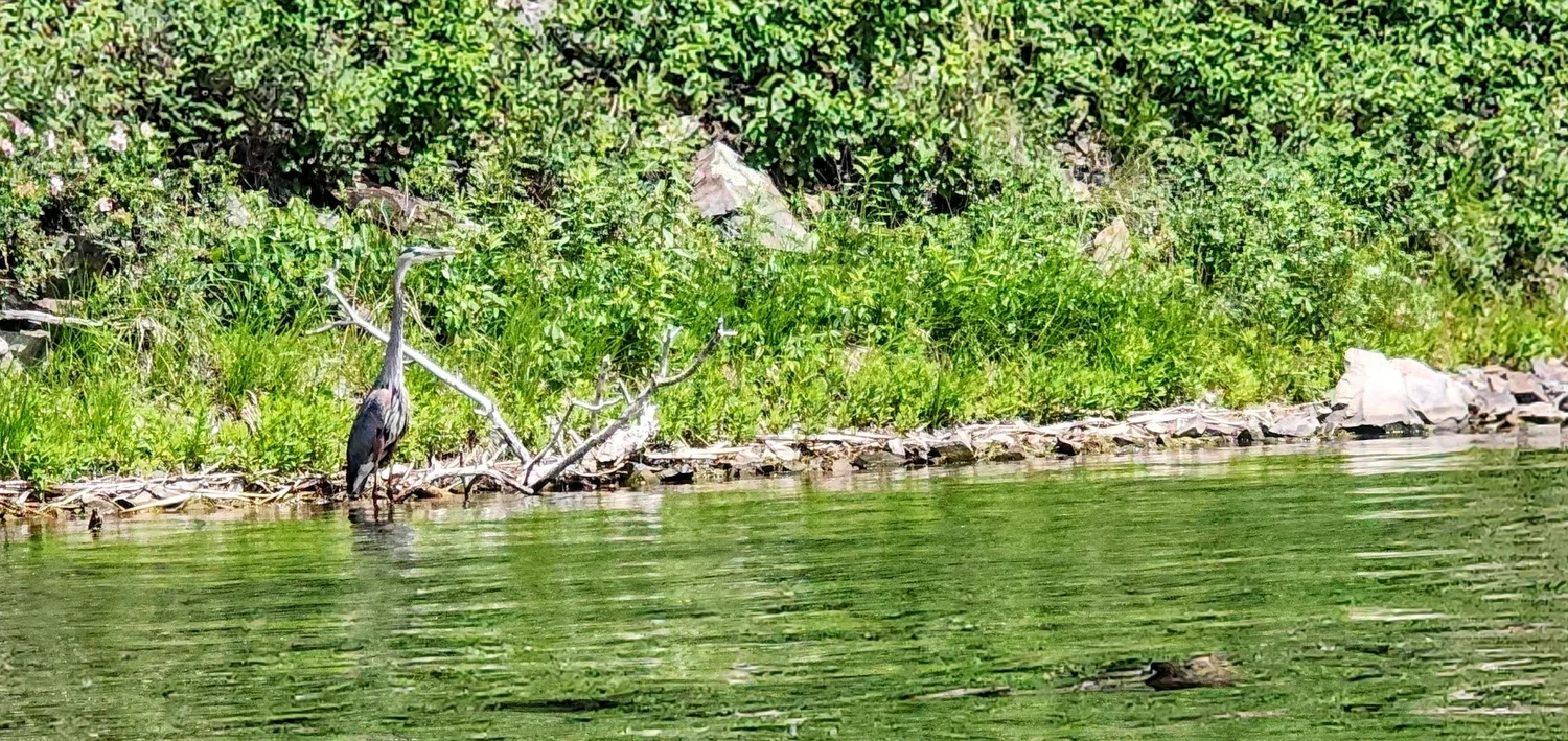 Kayaking Sheridan Lake — Black Hills Hiking, Biking, and More