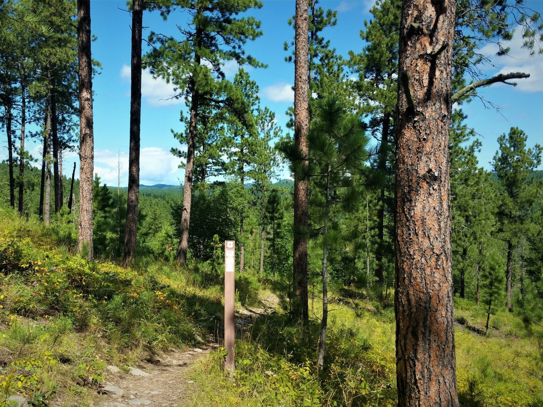 Centennial Trail — Black Hills Hiking, Biking, and More