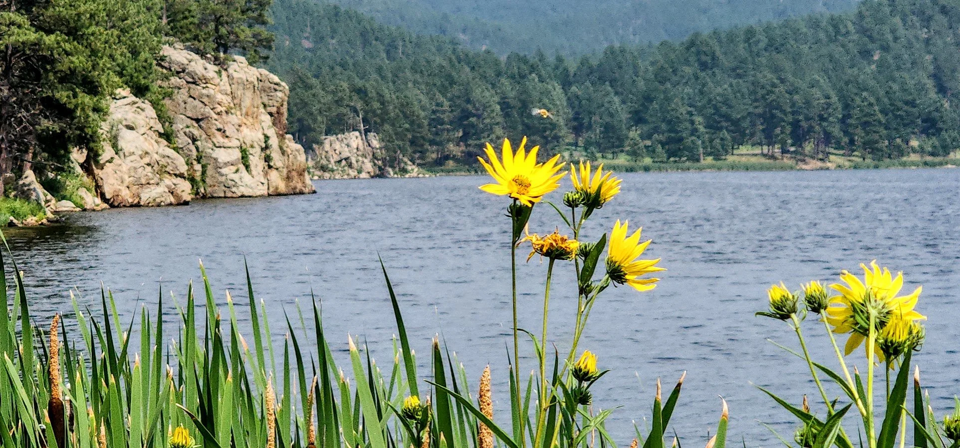 Stockade Lake — Black Hills Hiking, Biking, and More