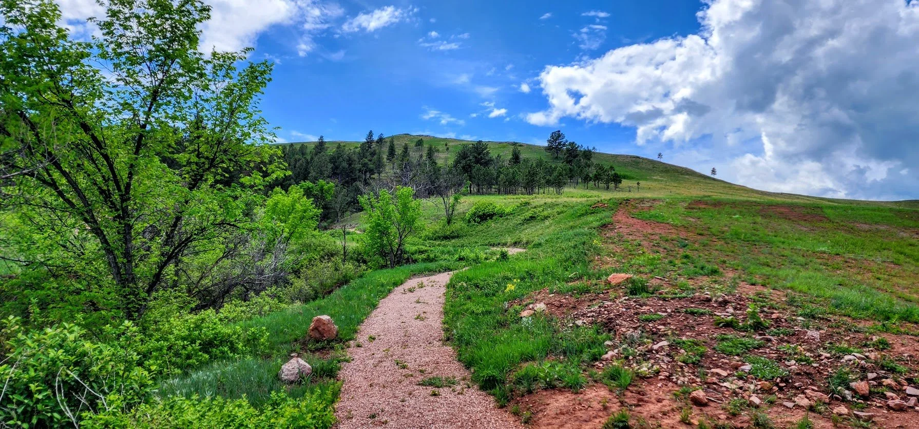 Bison Trail — Black Hills Hiking, Biking, and More