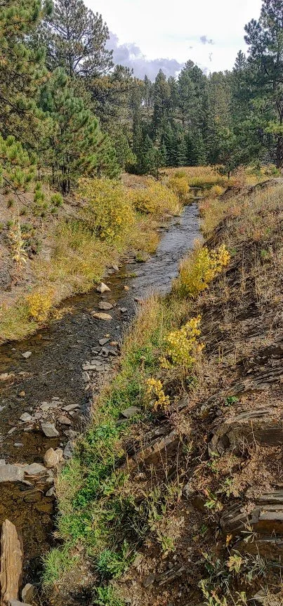 Roubaix Lake — Black Hills Hiking, Biking, and More
