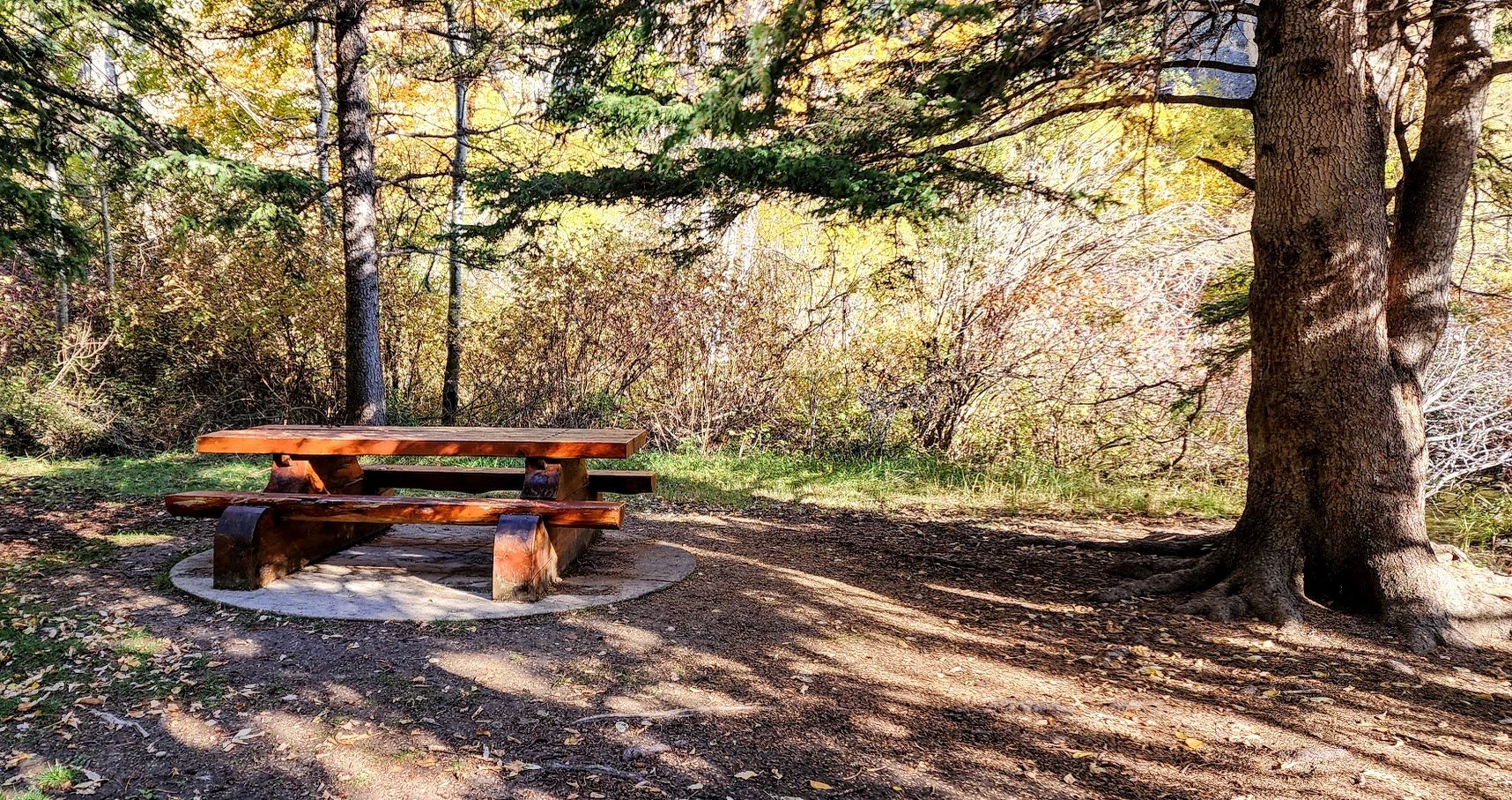 Roughlock Falls and Picnic Area — Black Hills Hiking, Biking, and More