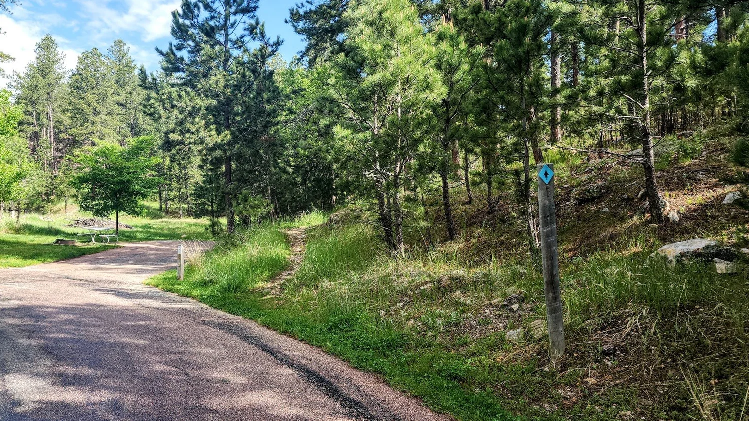 Legion Lake Campground Trail — Black Hills Hiking, Biking, and More
