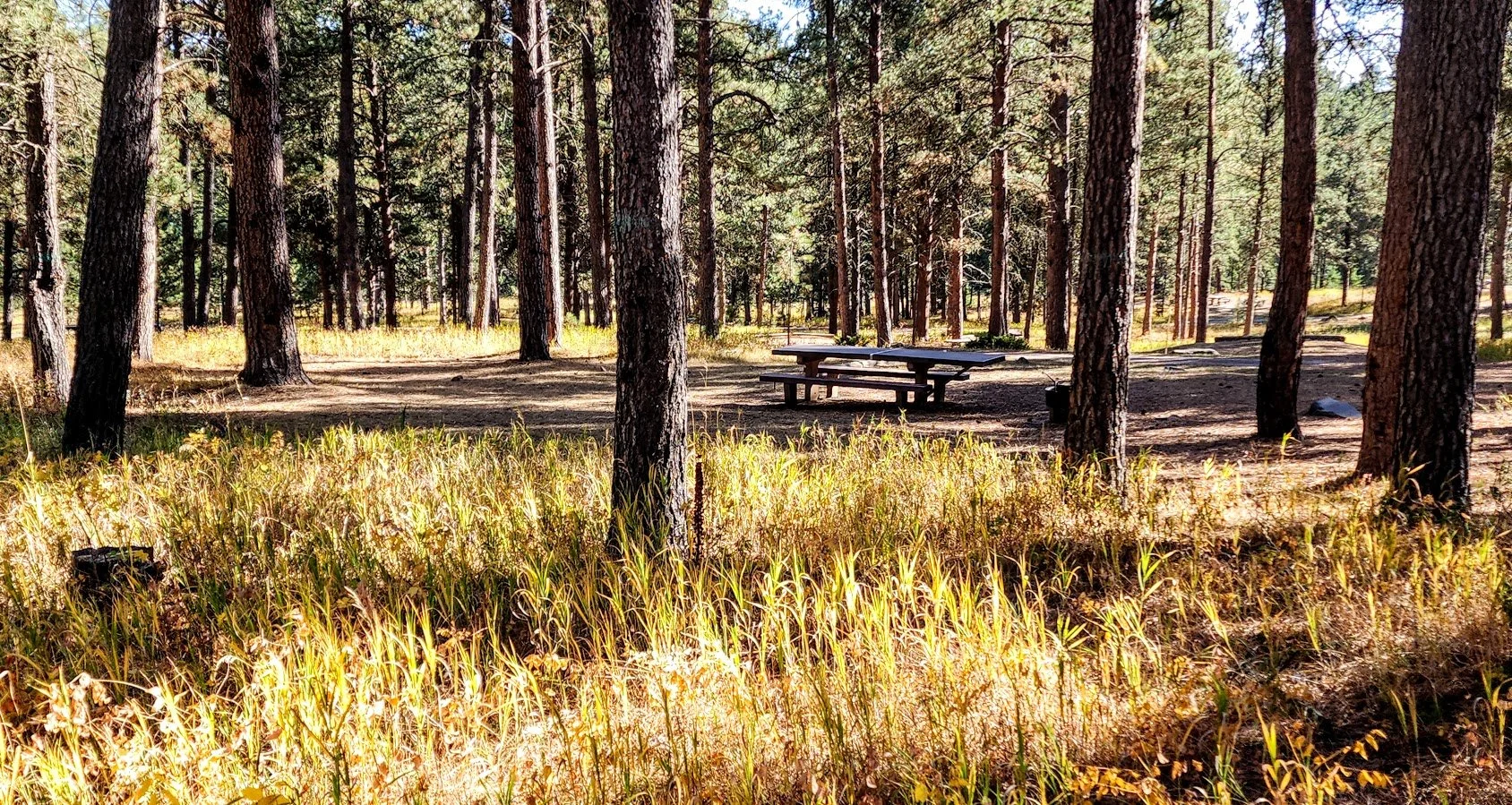 Roubaix Lake Campground — Black Hills Hiking, Biking, and More