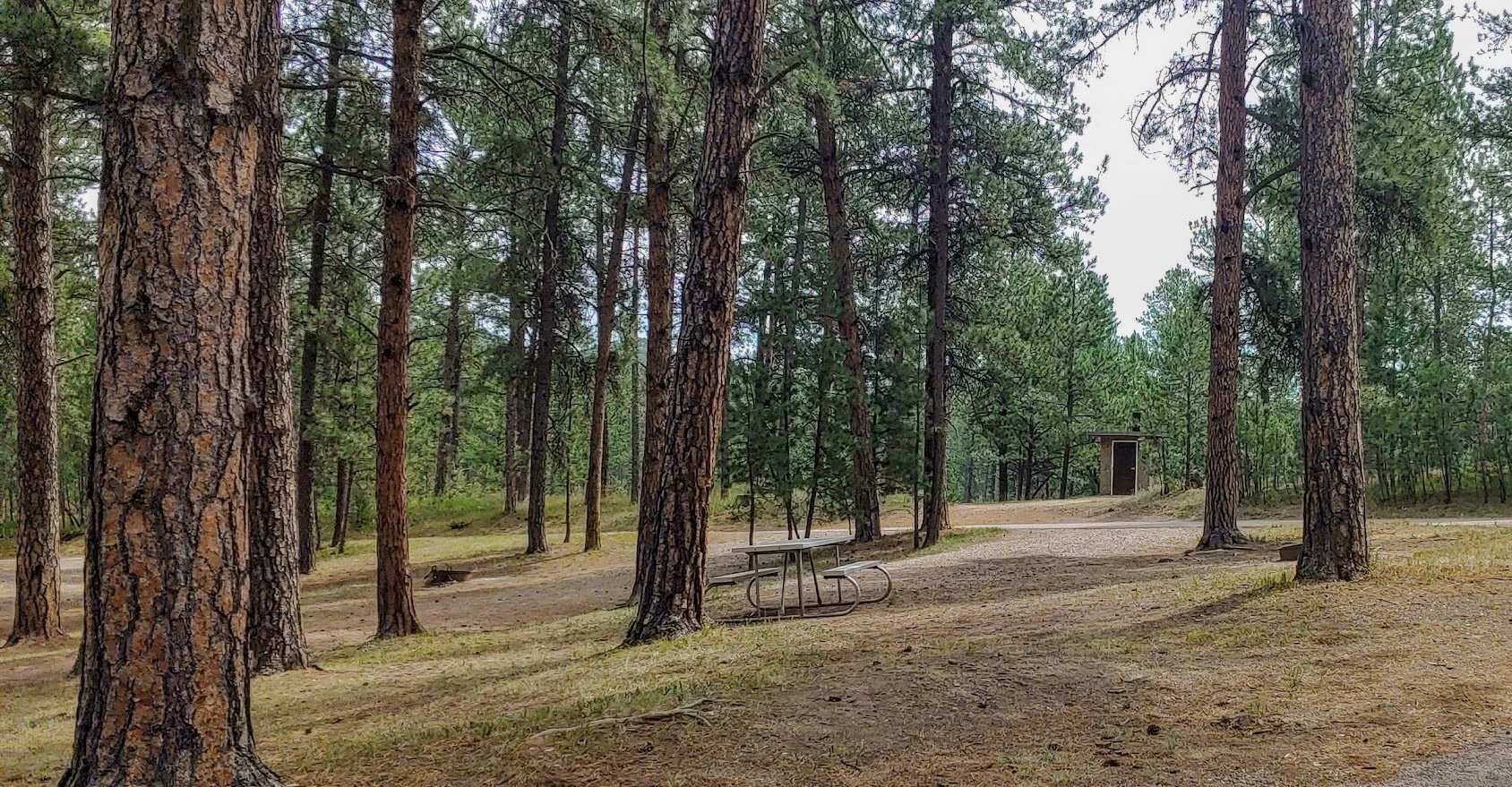 Stockade Lake Campground — Black Hills Hiking, Biking, and More