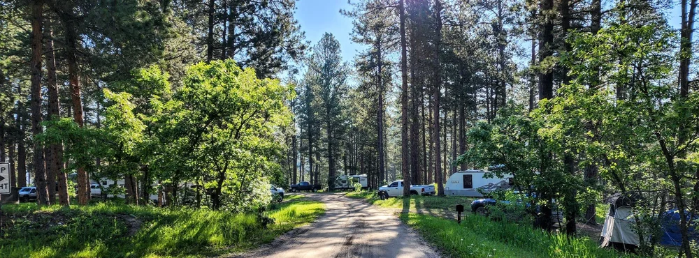 Cook Lake Campground — Black Hills Hiking, Biking, and More