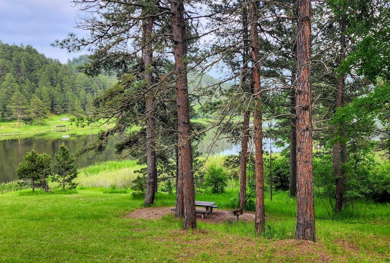 Cook Lake — Black Hills Hiking, Biking, and More