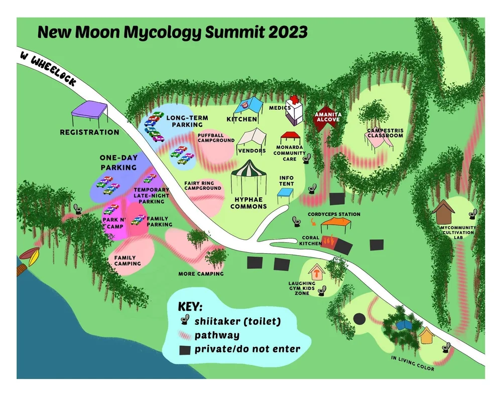 Directions — The Mycelium Underground