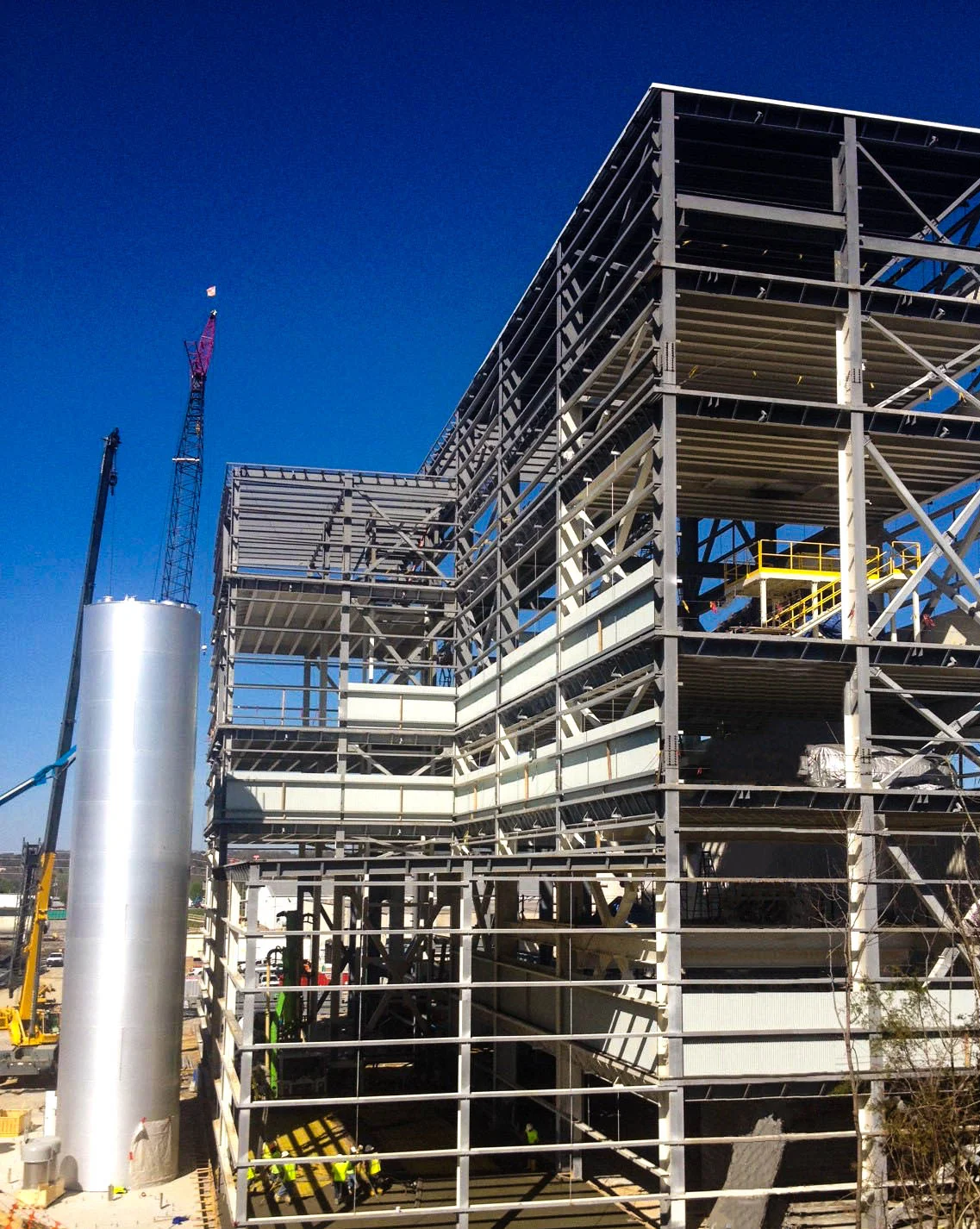 Shaw RP — Schaerer Contracting