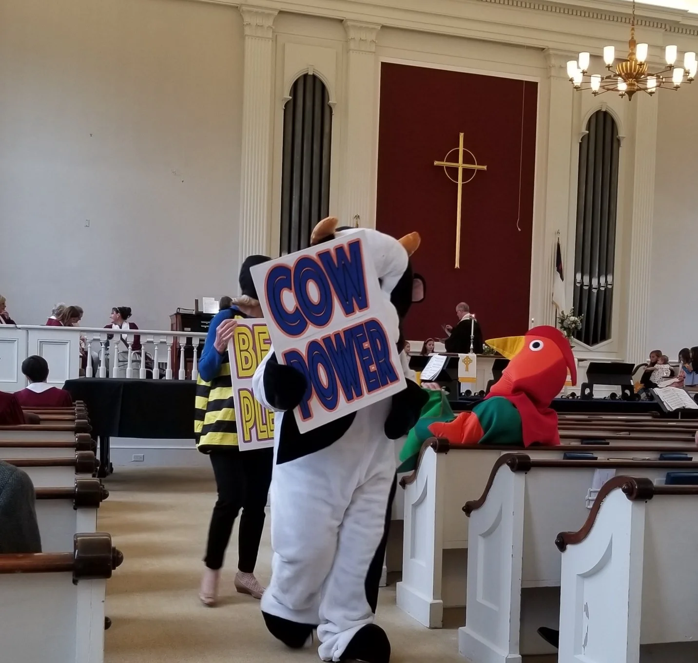 The Heifer Project — The First Presbyterian Church of East Hampton