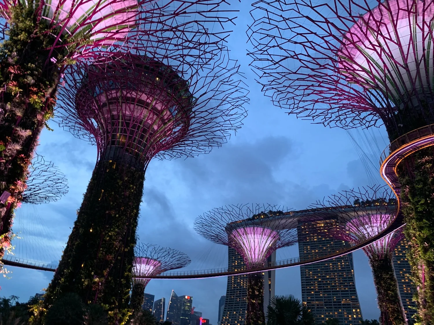 Colección 54 Arquitectura Biomimetica Interiores Gratis