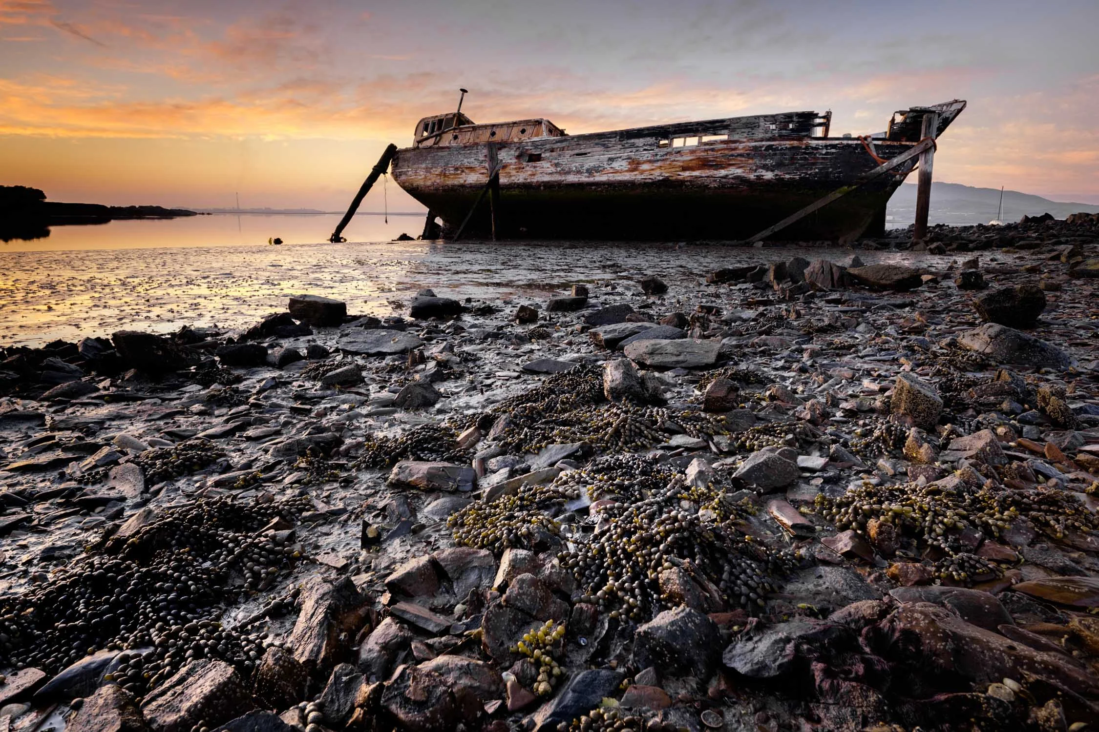 Greenpoint Shipwreck Graveyard — Trev Hill | Dunedin Photographer