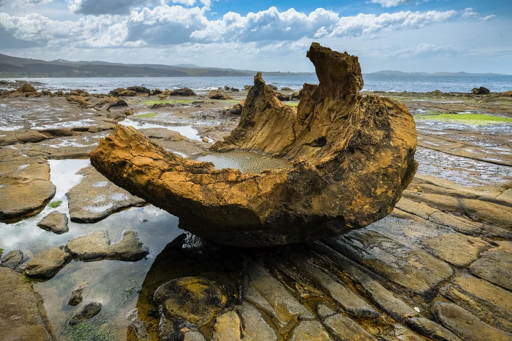 Shag Point Landscape Photography — Trev Hill | Dunedin Photographer