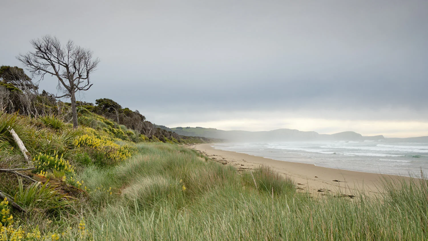 Papatowai: Old Coach Road and Old Possumers Track — Trev Hill | Dunedin ...