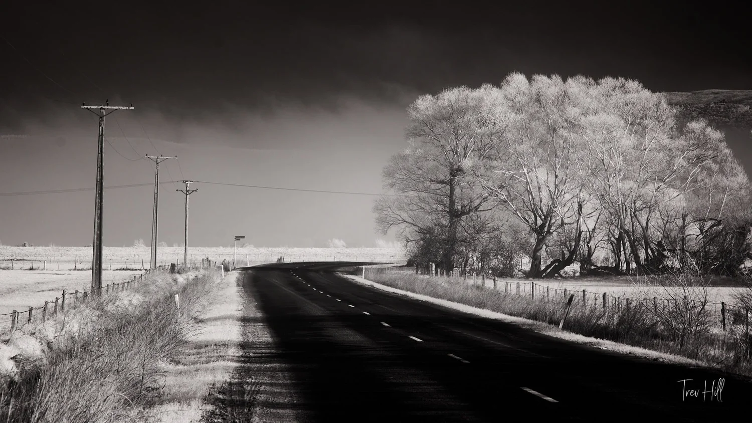 Learning Black and White Infrared Photography — Trev Hill | Dunedin ...