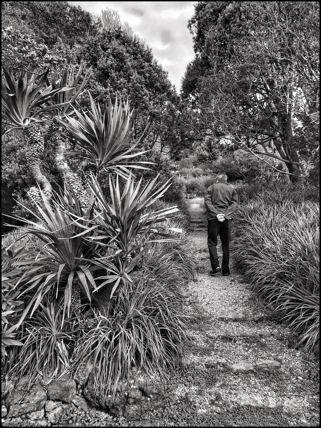 Pan narrans — Becky Jaffe Photography: The Art of Biophilia