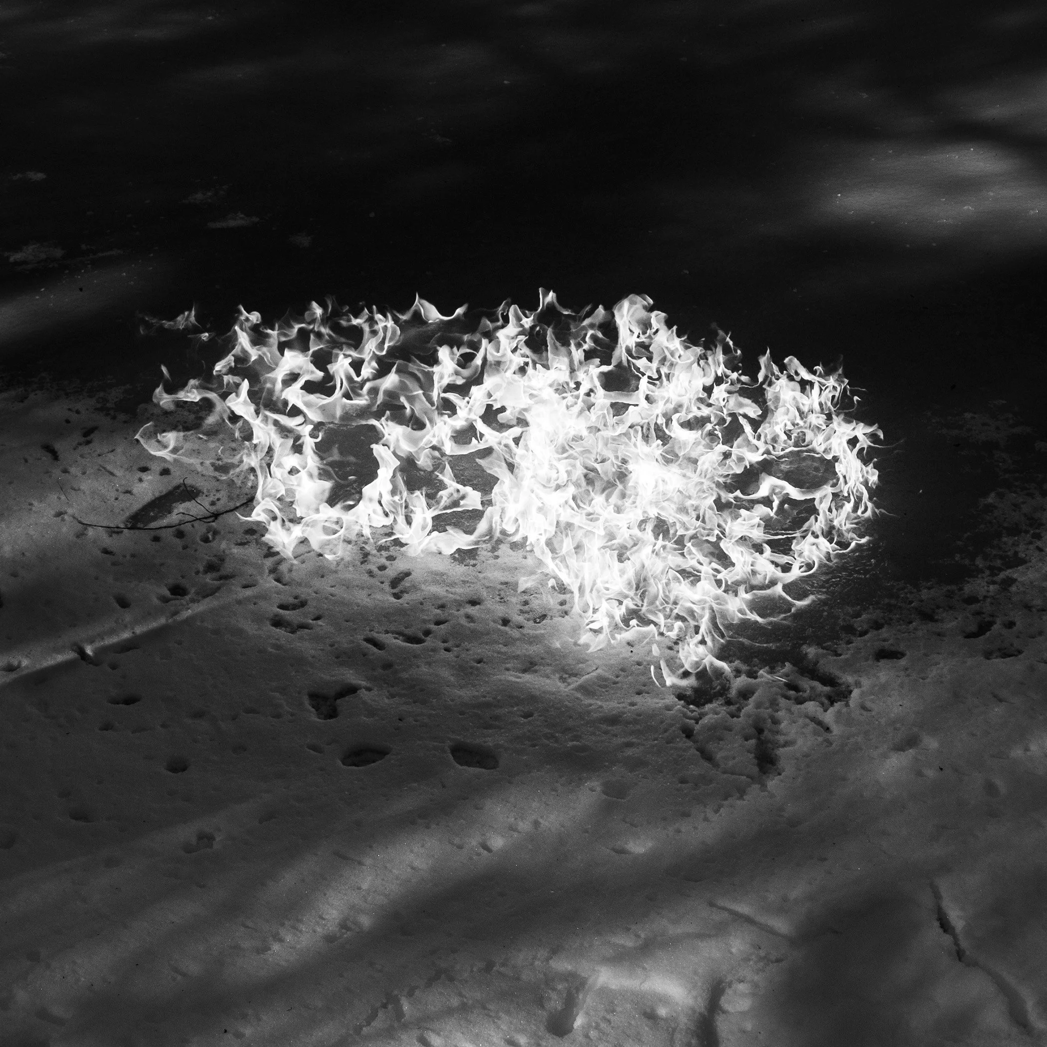 Owen McCarter Photography