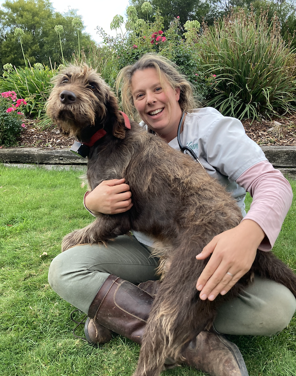 Our Team — Vet in the Valley