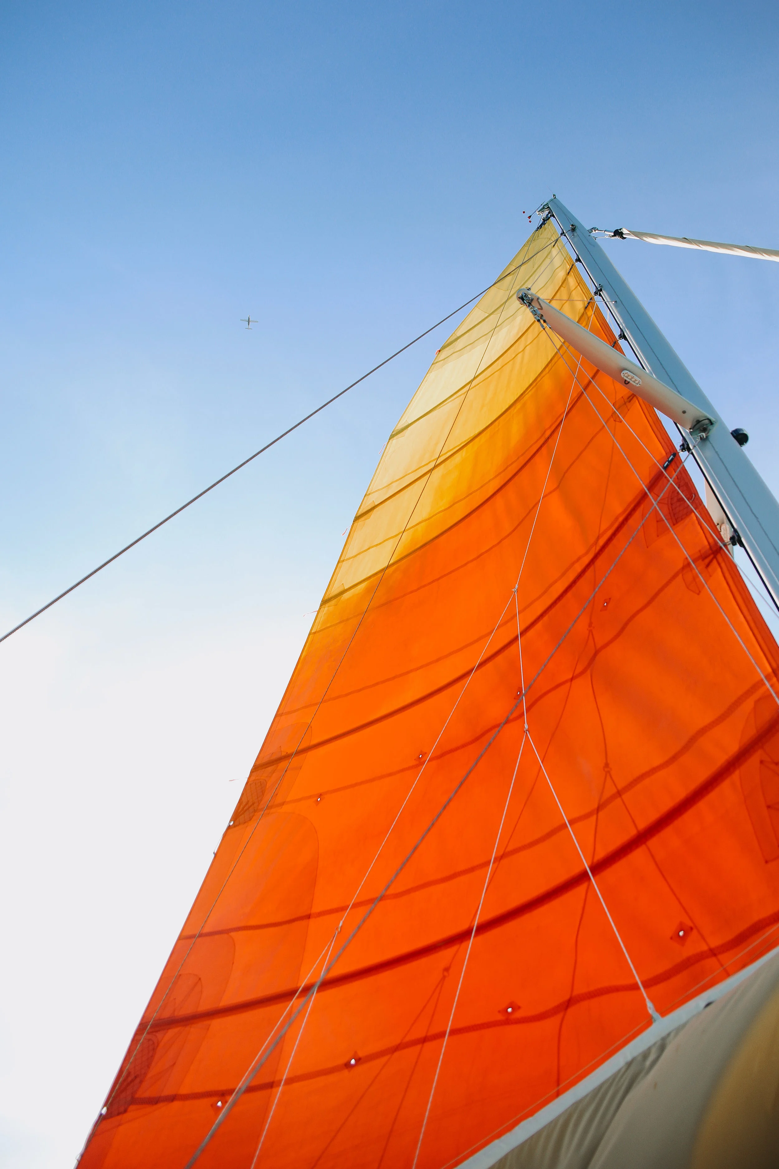 Adventures & Cruises — Sail Holokai