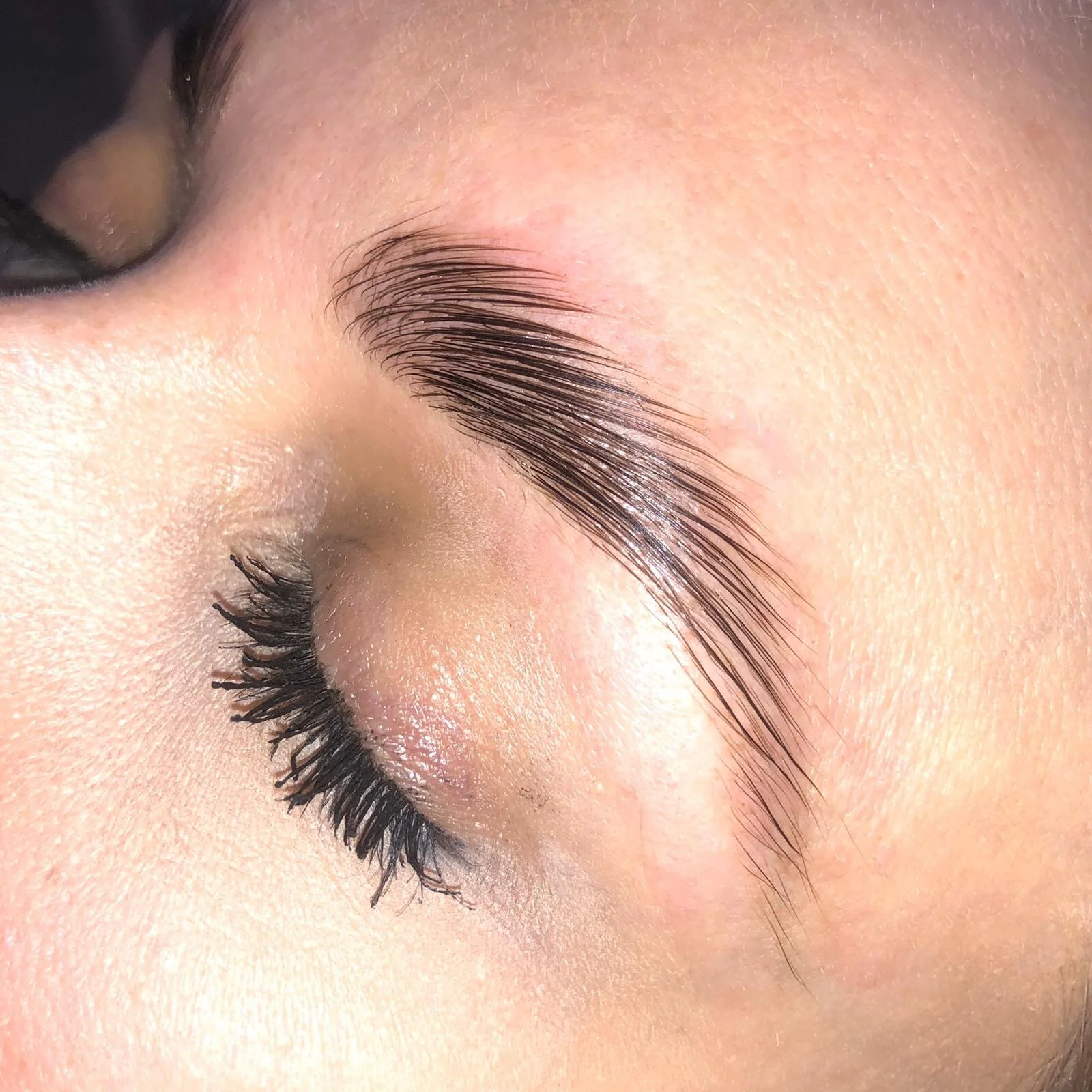 The Ultimate Brow Course — Preen
