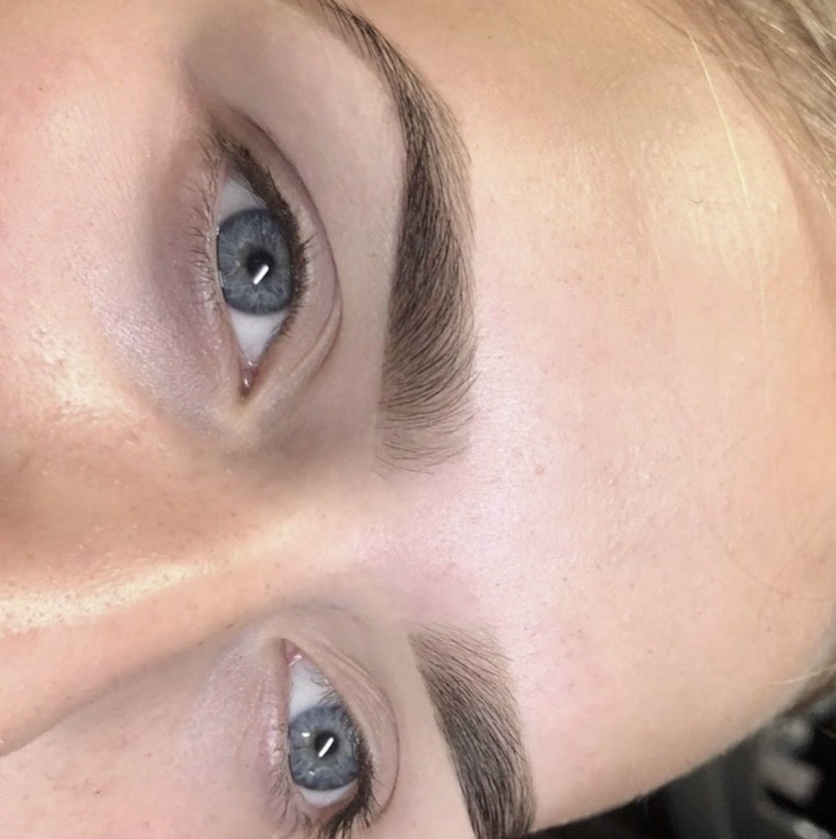 The Ultimate Brow Course — Preen
