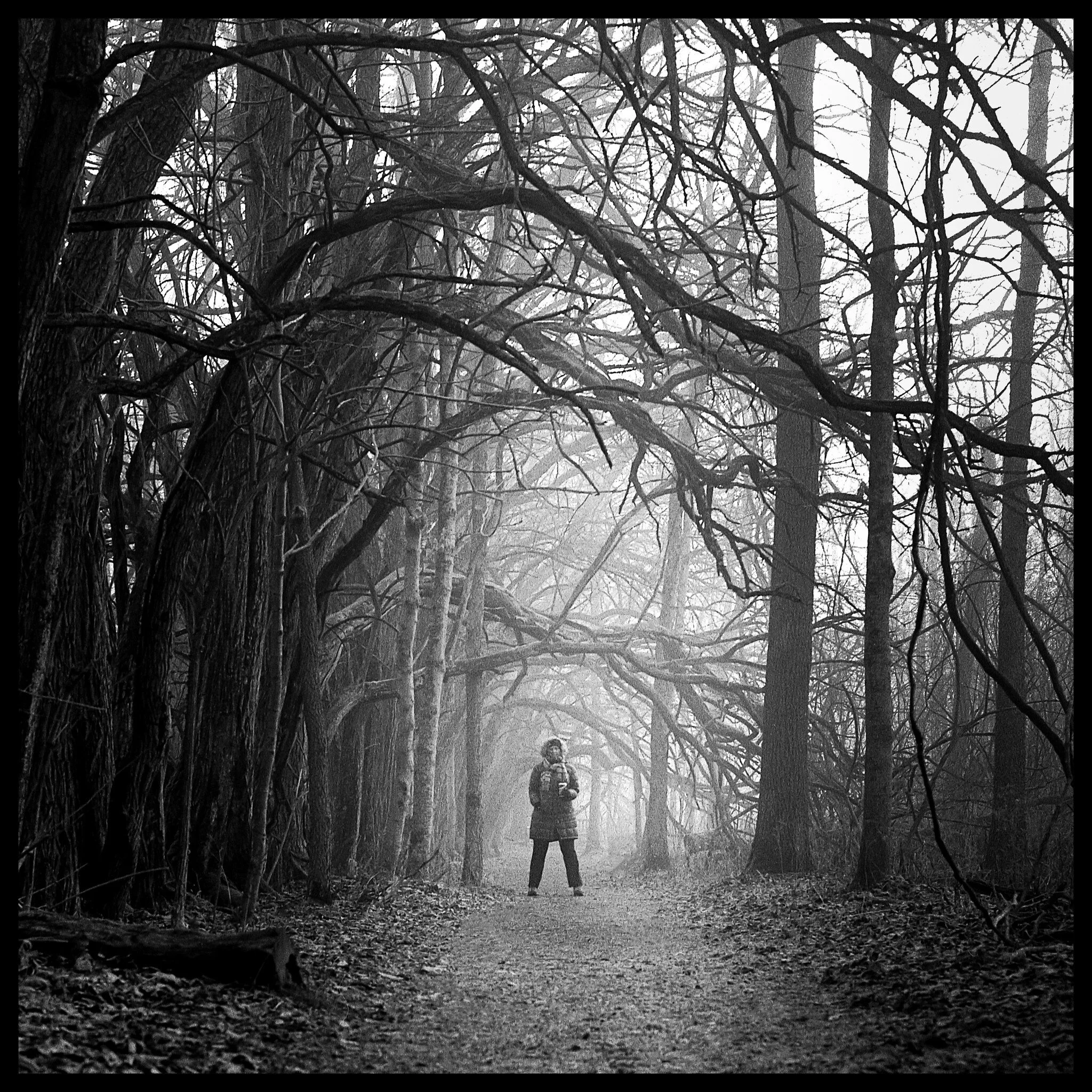 Square Photography Composition