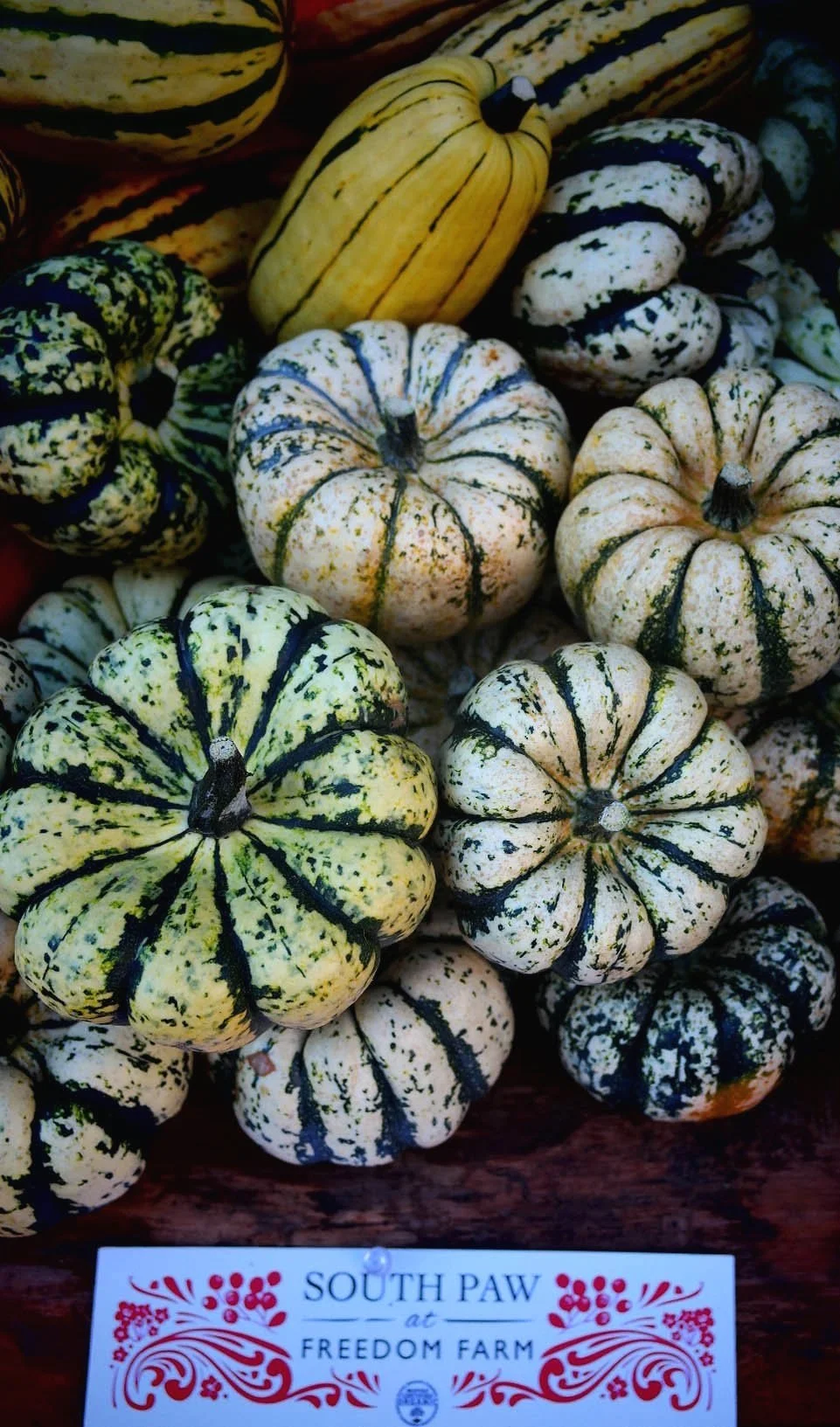 Favorite Maine Foods — West End Village School