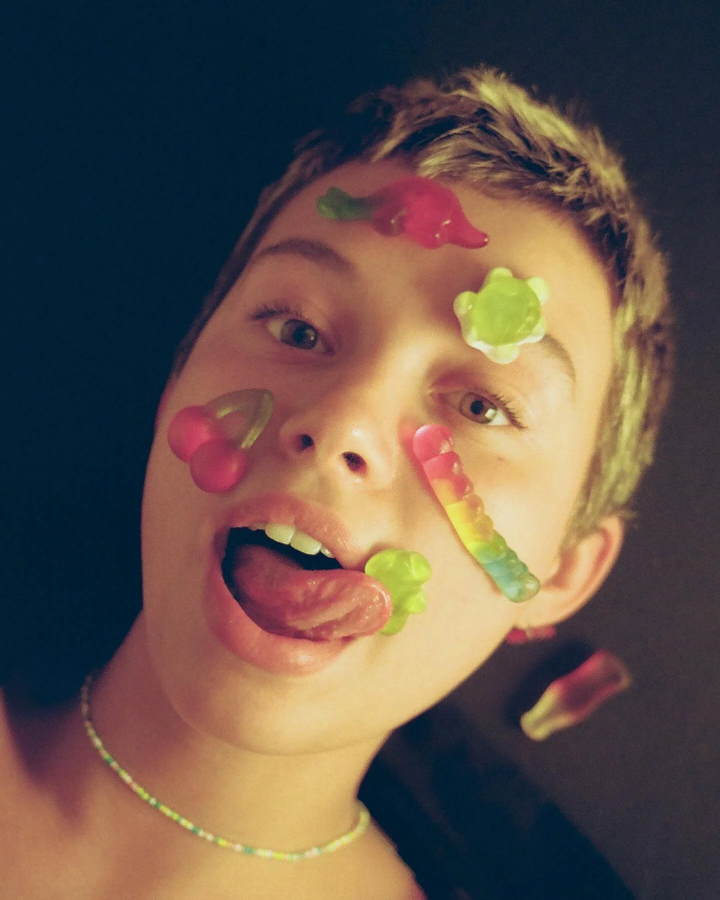 ALEXANDER KIBBLE