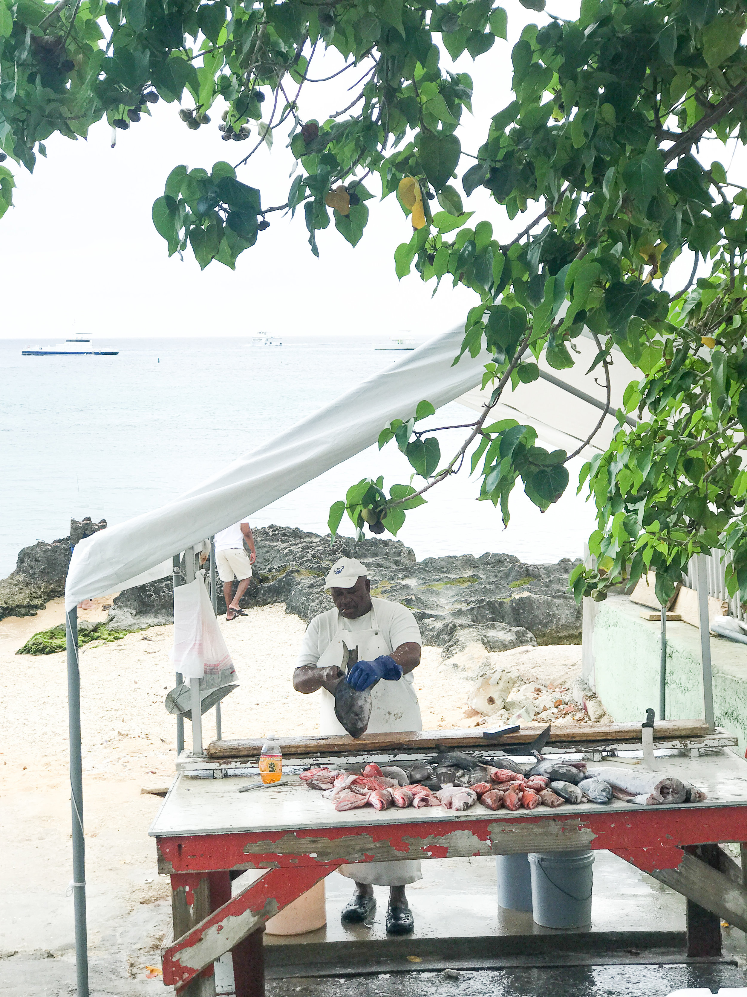 Travel Tips for the Grand Cayman: Here are 7 — Thermaland Oaks