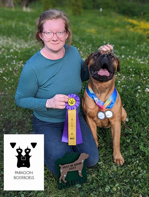 2023 Pacific-Northwest Spring SABBS Appraisal and Show — Paragon Boerboels