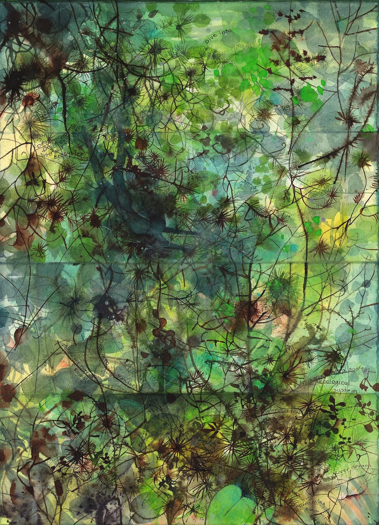 Field Studies — Andie Thrams