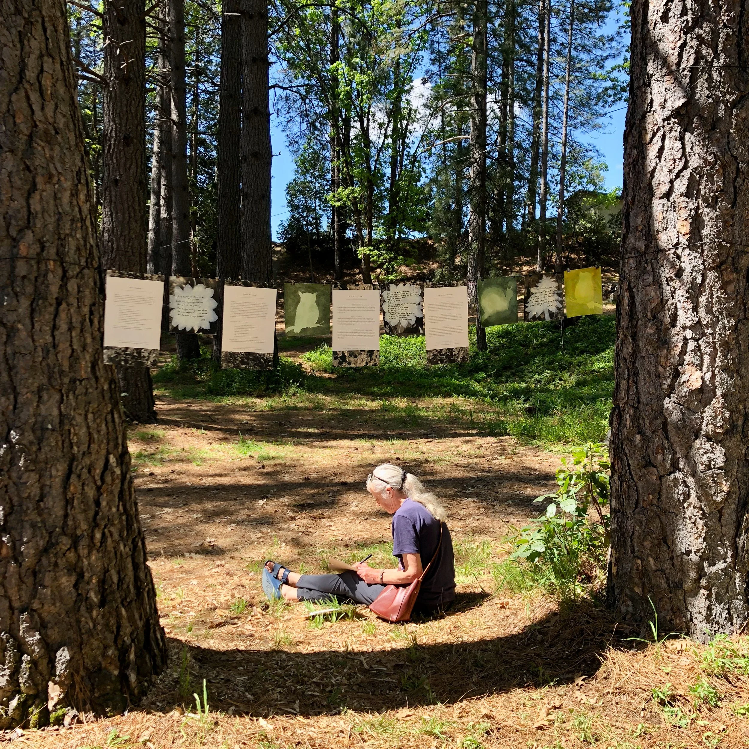 Events & More — Andie Thrams