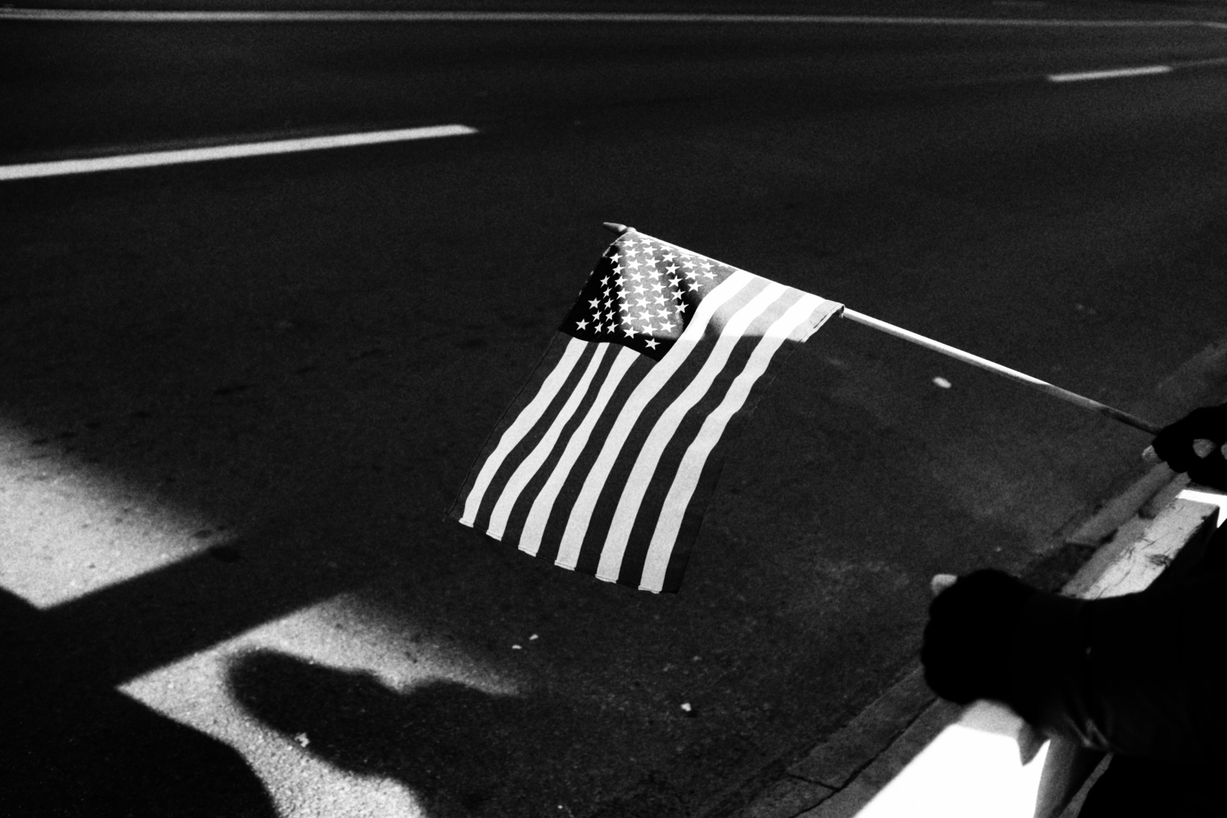 black.white — jaime bird