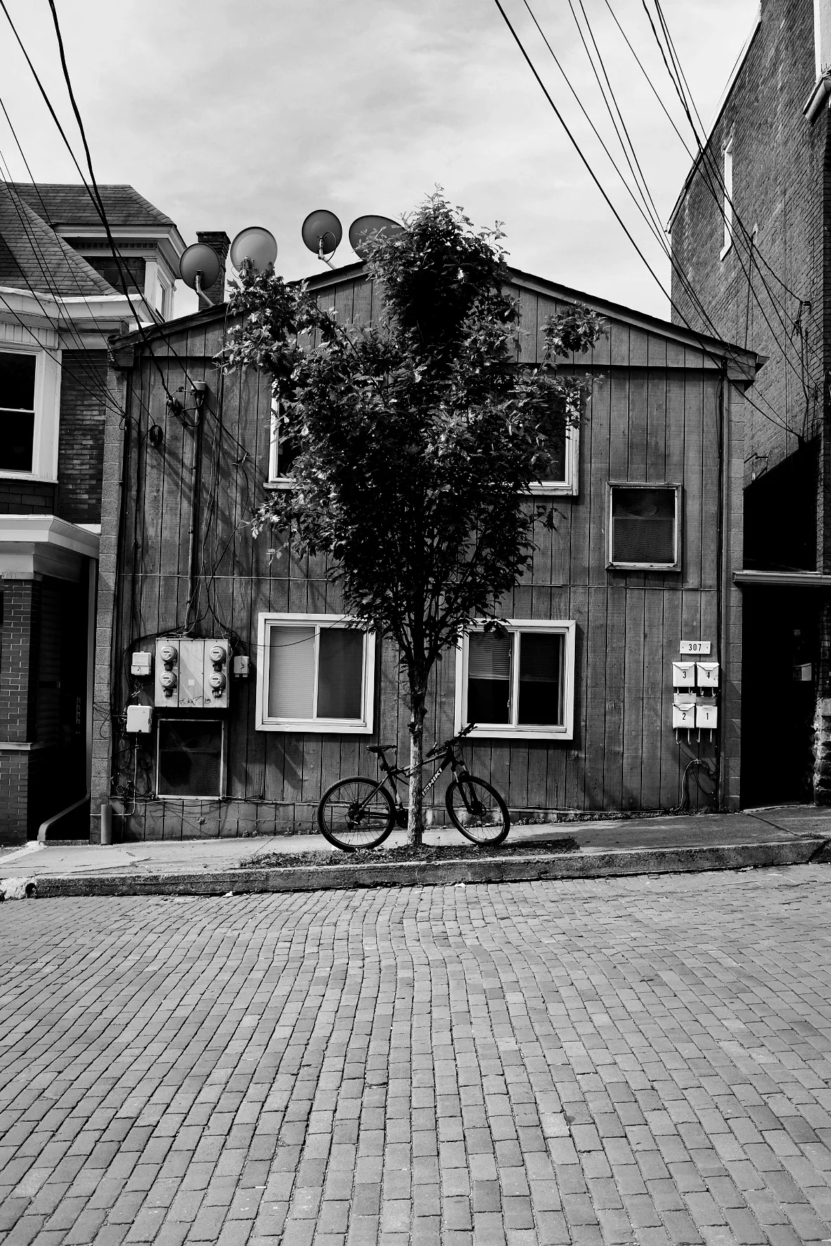 street.view — jaime bird