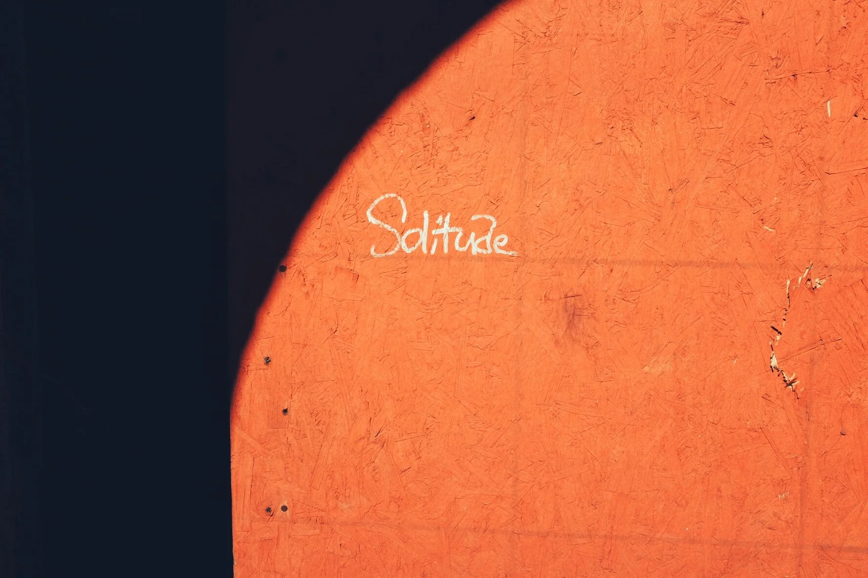 color — jaime bird