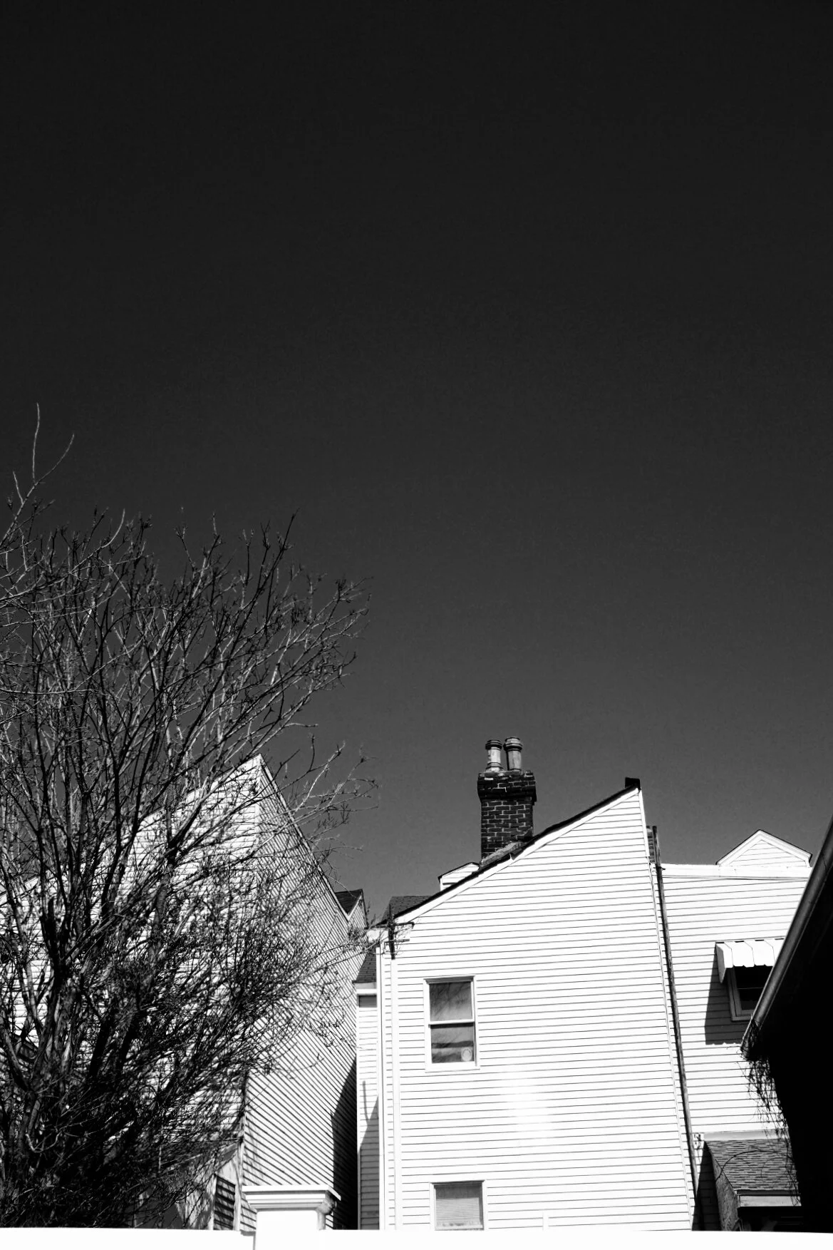 street.view — jaime bird